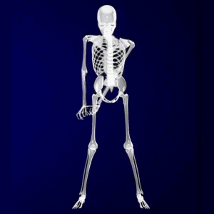 Stiff Hips, Stiff Swing: Demystifying Hip Rotation in the Golf Swing ...